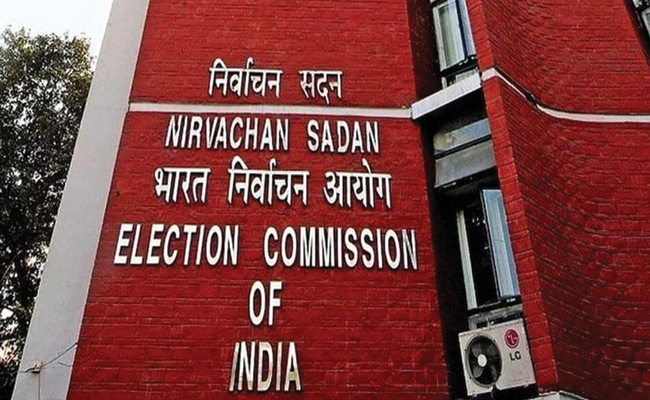 The National Mirror - The News Portal